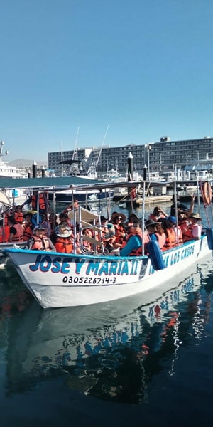 Cabo San Lucas: Classic Tour to the Arch in Glass Bottom | GetYourGuide