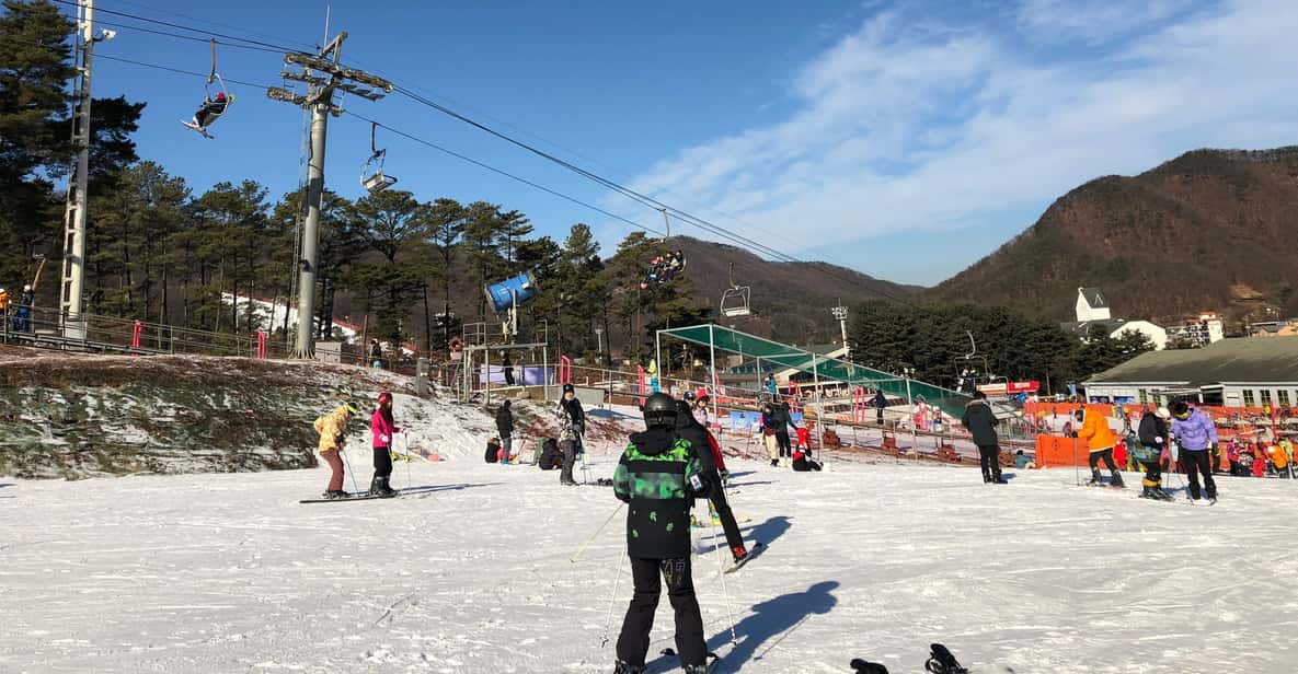 Jisan Forest Ski Resort One Day Tour | GetYourGuide