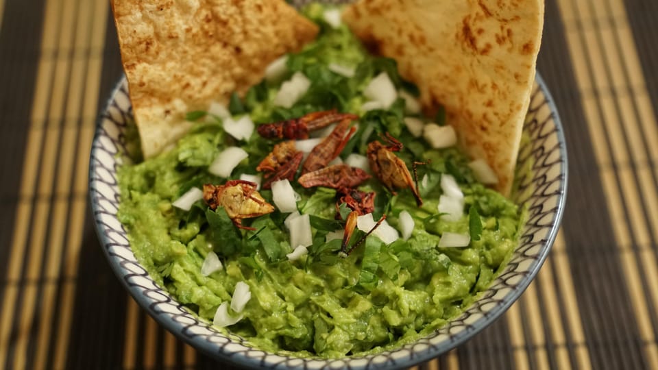 Ciudad de México: Auténtico Mezcal, Tequila, Pulque y Tacos | GetYourGuide