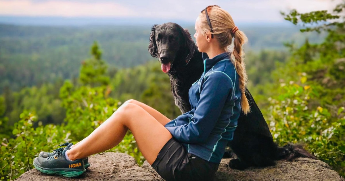 Oslo: Yoga & Hiking with a dog | GetYourGuide