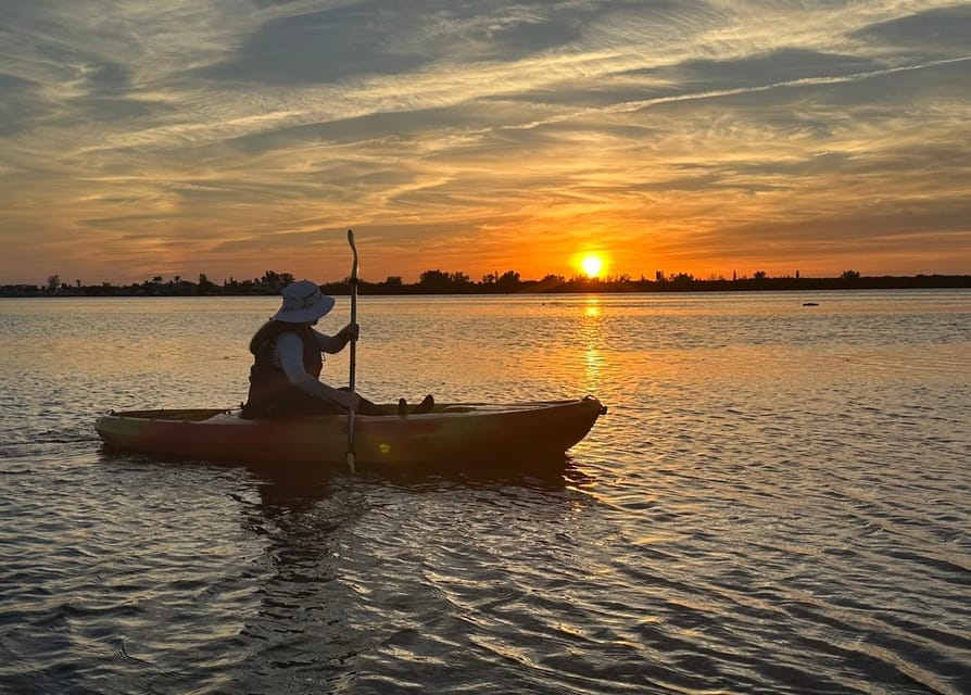 Anna Maria Island and Bradenton: Sunset Kayak Dolphin Tour | GetYourGuide