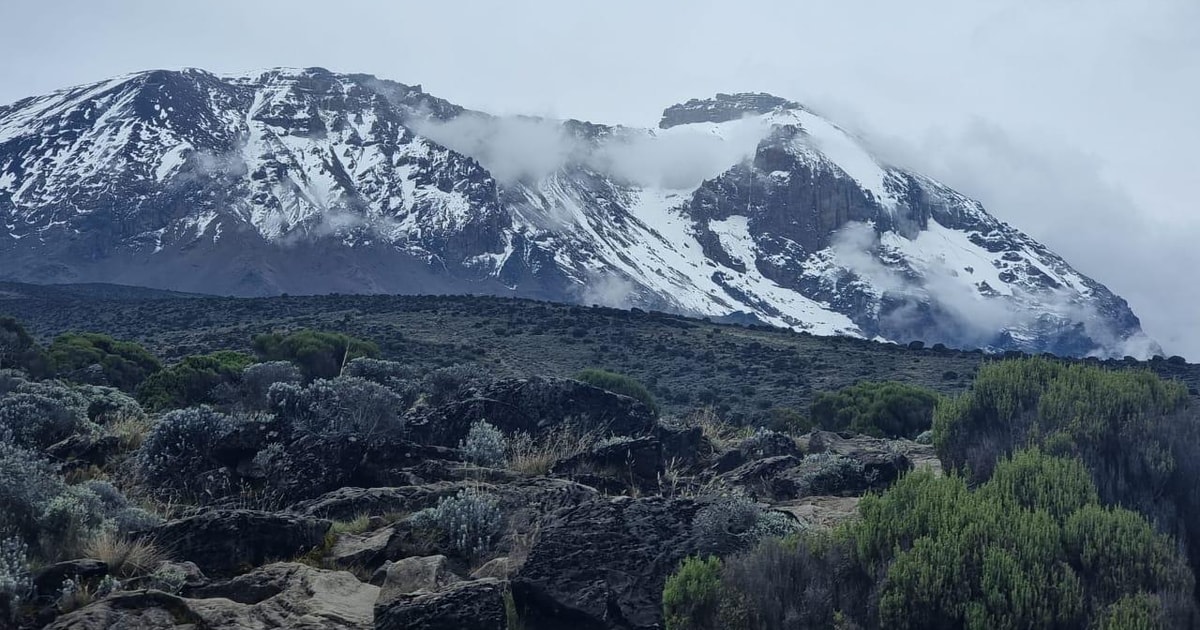 #1. 最高のキリマンジャロ日帰りハイキングツアー - ISMANI TOURS AND SAFARIS | GetYourGuide