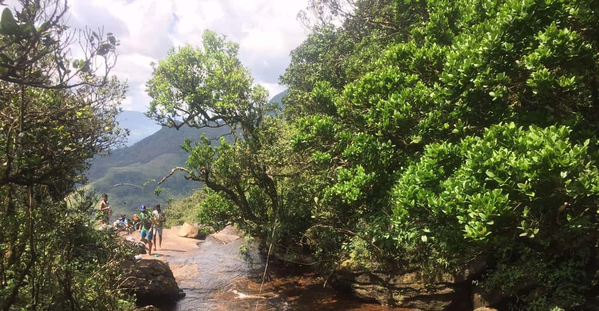 Sri Lanka jungle tour 4 days-rainforests, national parks... | GetYourGuide