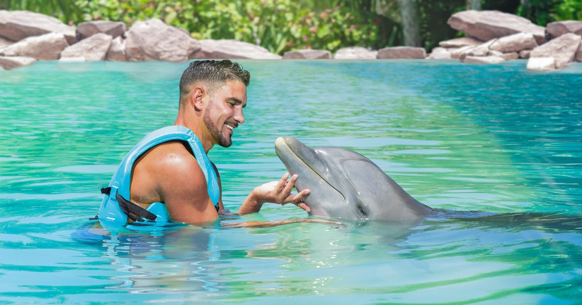 CANCÚN: Experiencia Dolphin Beyond + Parque Acuático y Buffet ...