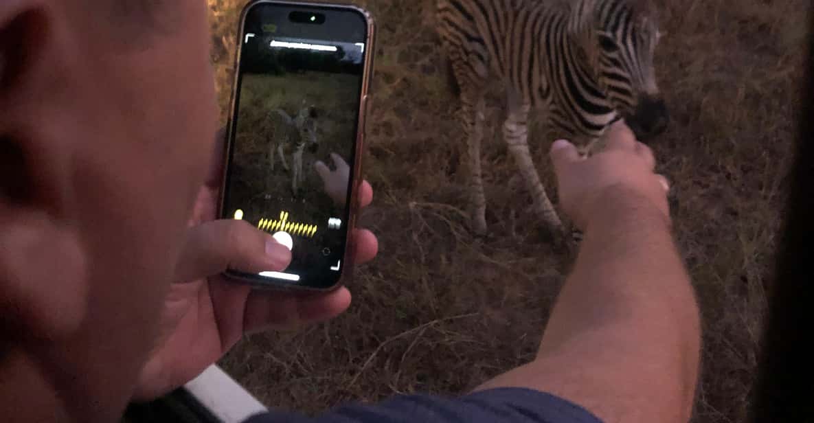 Unvergessliche Tour durch Angola-Luanda und Safari | GetYourGuide