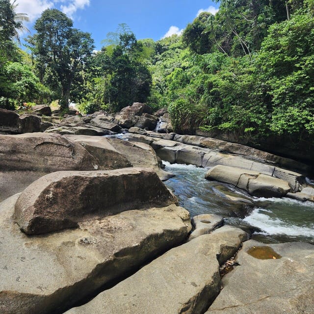 El Yunque Rainforest Water Slide & Luquillo Beach Tour | GetYourGuide