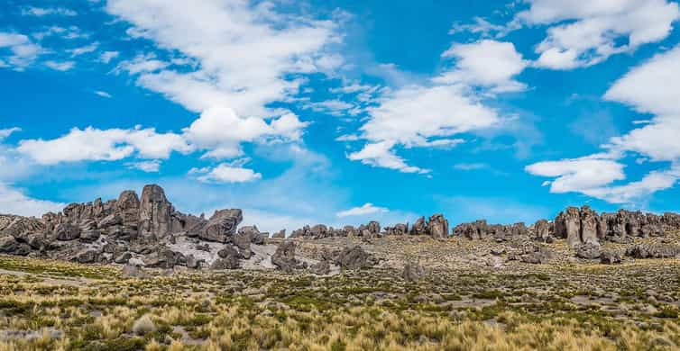 Arequipa: Reserve of Salinas and Aguada Blanca-Lojen Volcano | GetYourGuide
