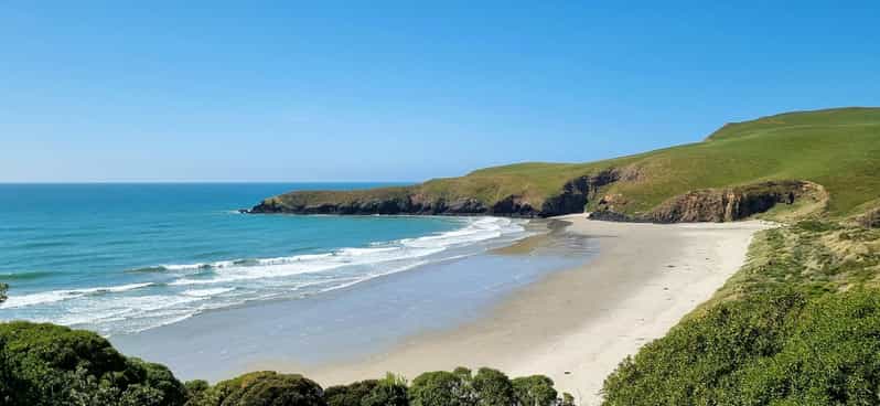 Mainland Peninsula Tour | GetYourGuide