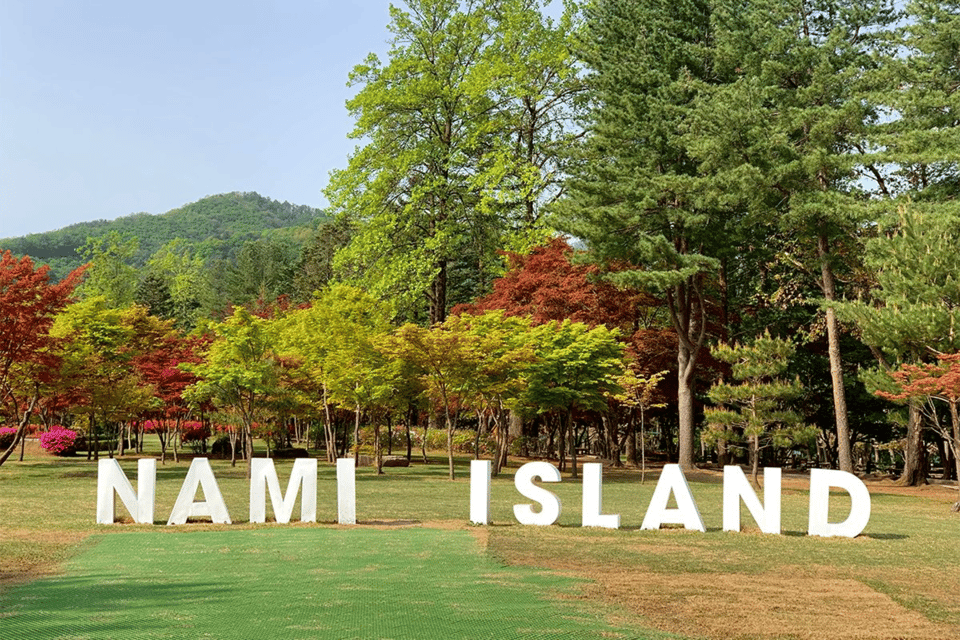Seoul: Gangwon-do Day Trip with Alpaca World & Nami Island | GetYourGuide