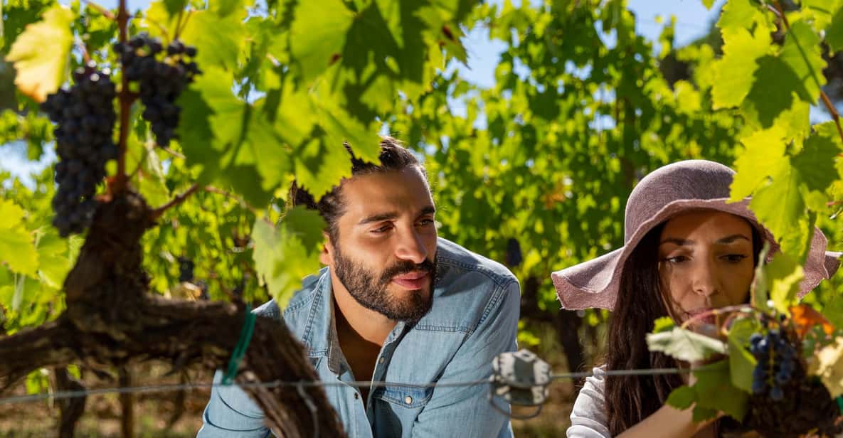 Montepulciano: Wijnproeverij met typisch Toscaanse vleeswaren ...