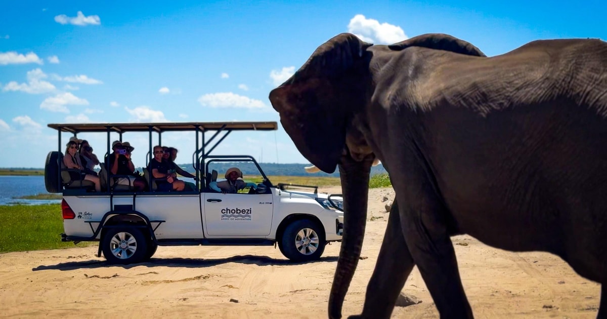 From Kasane Area: Chobe National Park Game Drive | GetYourGuide