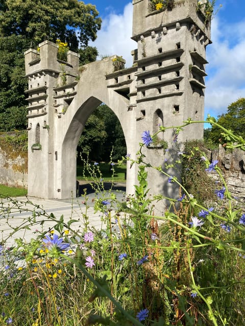 Avondale: Beyond the Trees Treetop Walk & Tower Entry Ticket | GetYourGuide