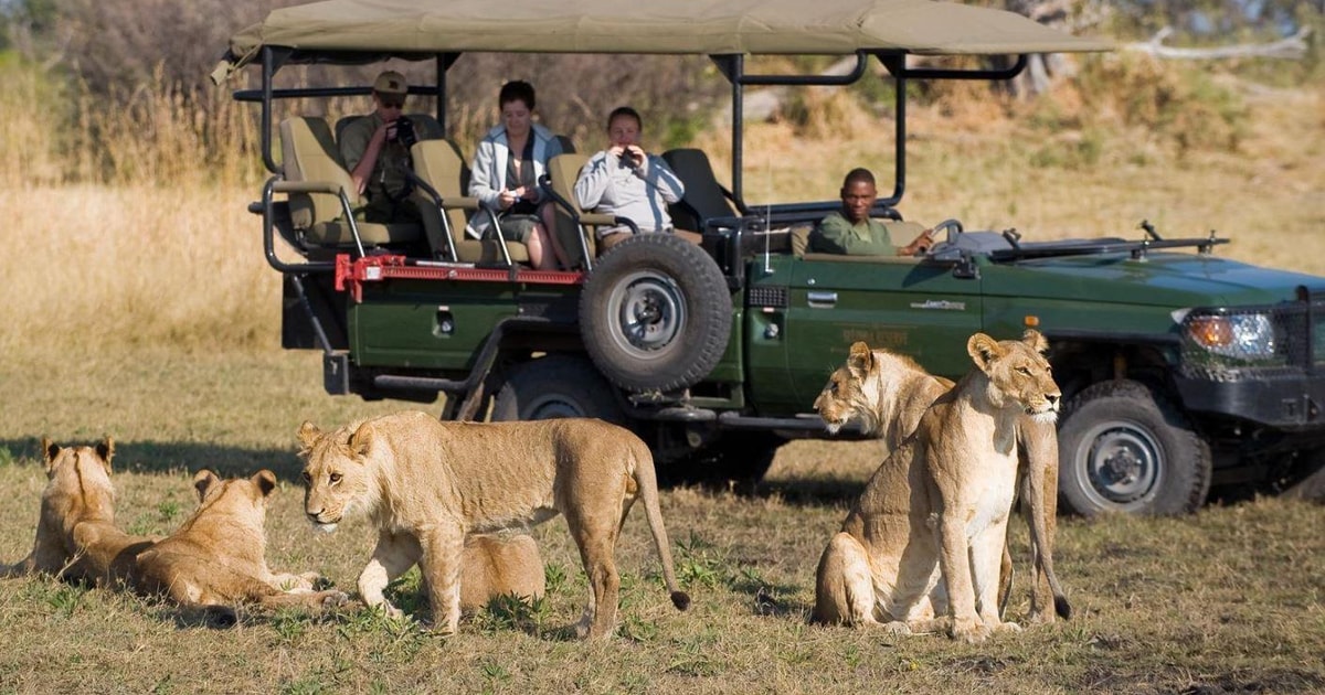 Safari privado de 4 días al Parque Nacional Kruger desde Johannesburgo | GetYourGuide