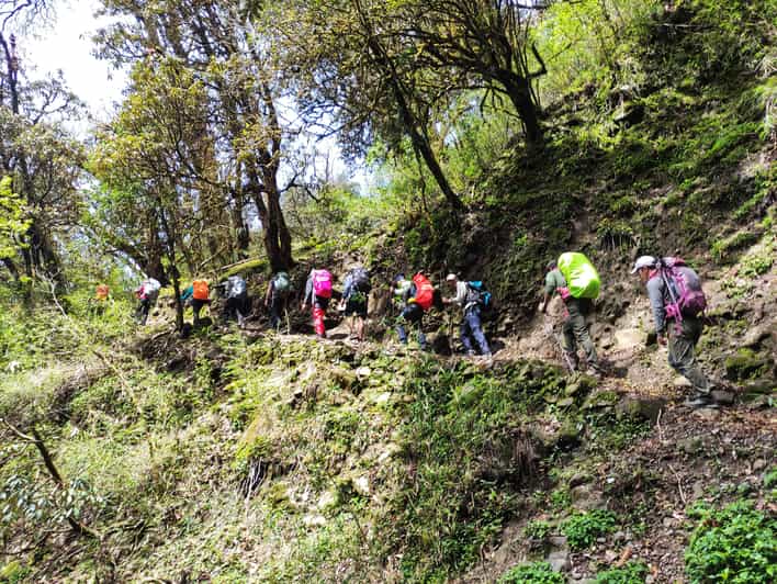 Majestic Mardi Trek: A Himalayan Adventure in Nepal | GetYourGuide