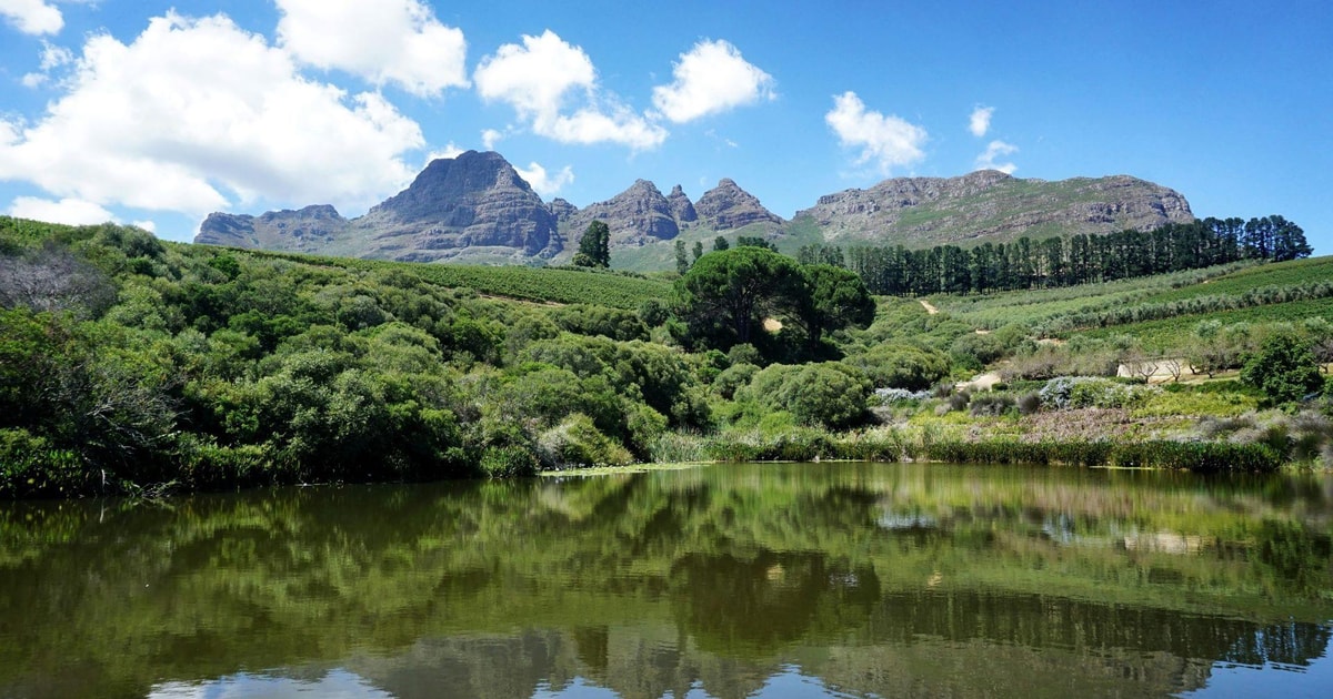 Stellenbosch: Wineries and Safari Tour with Wine Tasting | GetYourGuide