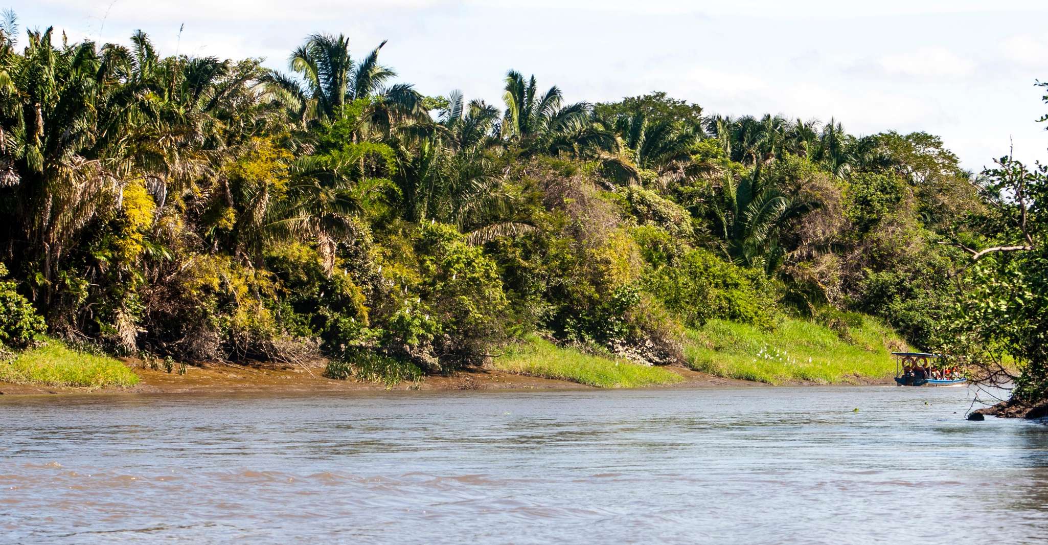 From Guanacaste, Tempisque River Cruise with Fruit Platter | Day Trip ...
