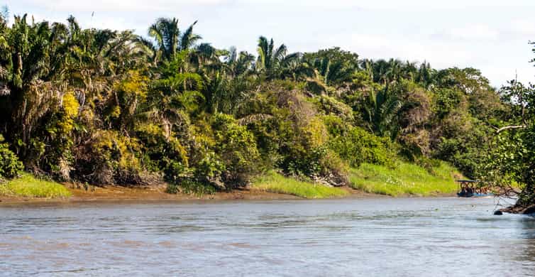 Desde Guanacaste: Crucero por el Río Tempisque con Plato de Frutas ...