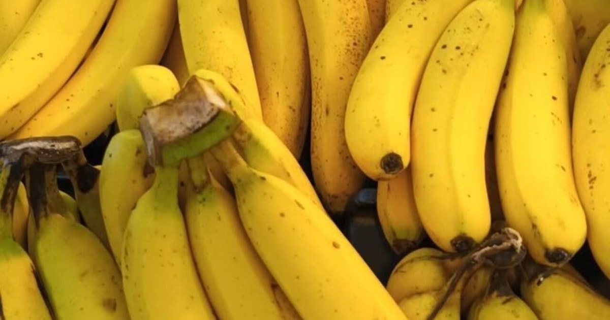 Pemba Island: Spice Farm, Chake Chake, and Pujini Tour | GetYourGuide