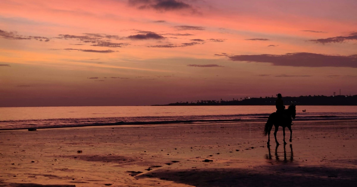Sunset on Horseback at El Limón Beach | GetYourGuide