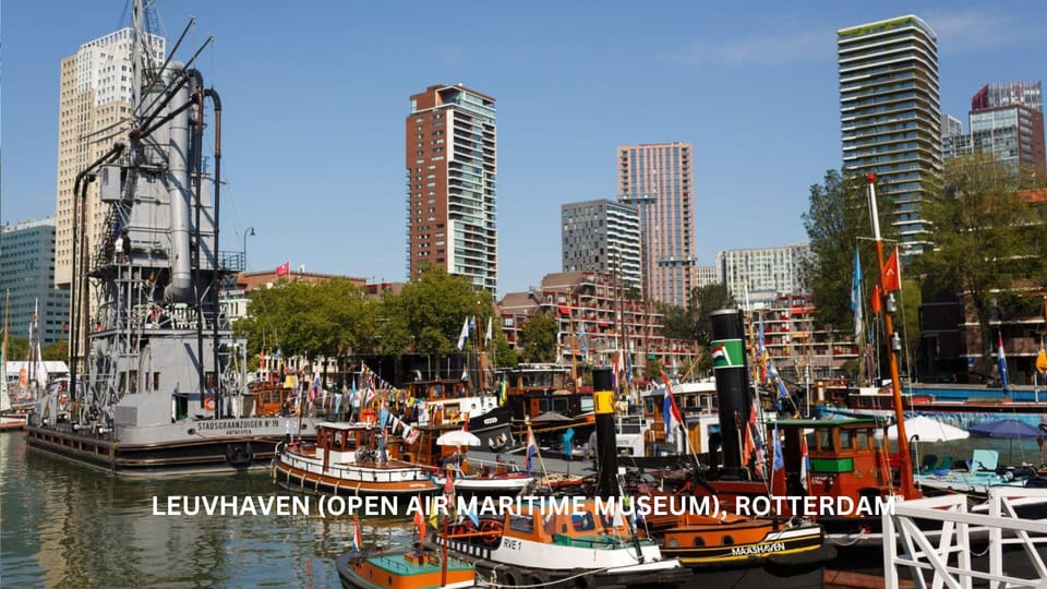 Rotterdam and Kinderdijk Daily Walking and Boat Tour | GetYourGuide