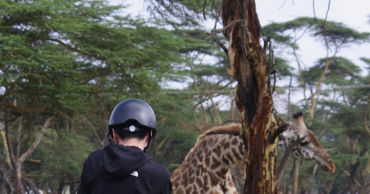 Nairobi: Horseback Safari and Lake Naivasha Boat Ride | GetYourGuide