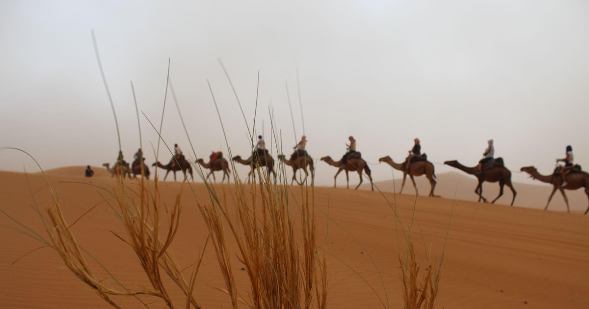 De Marraquexe Excursão de luxo de 4 dias ao deserto do Saara em ...