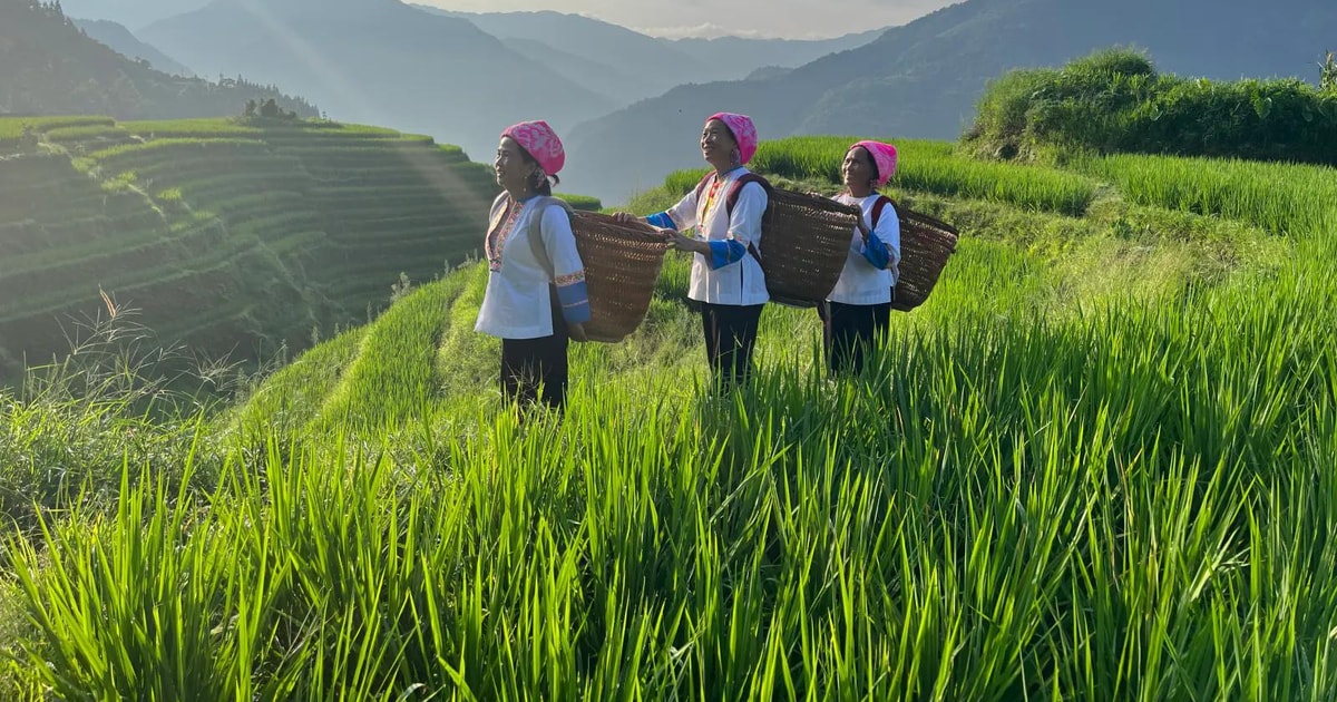 Risaie terrazzate di Longji: escursione per esplorare i villaggi etnici ...