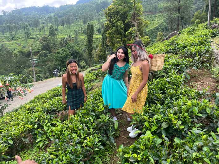 Ella Day Tour From Kandy | GetYourGuide
