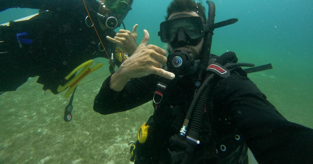 Culebra: haz esnórquel con tortugas | GetYourGuide