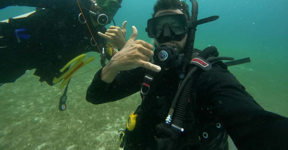 Culebra: Bucea con tortugas | GetYourGuide