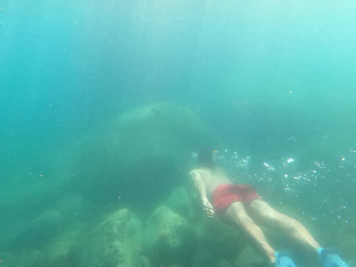 Snorkeling Experience in Ischia with local Guide | GetYourGuide
