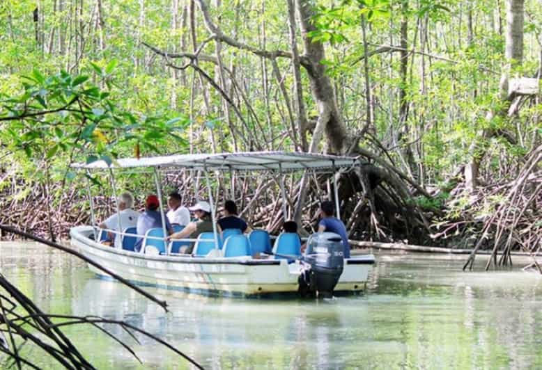 DESCUBRE LOS MANGLARES DE MANUEL ANTONIO EN BOTE TOUR GUIADO | GetYourGuide