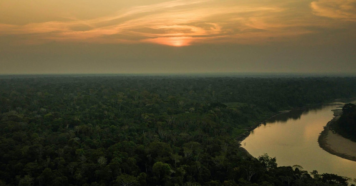 Amazon Rainforest 5 Day Tour | GetYourGuide