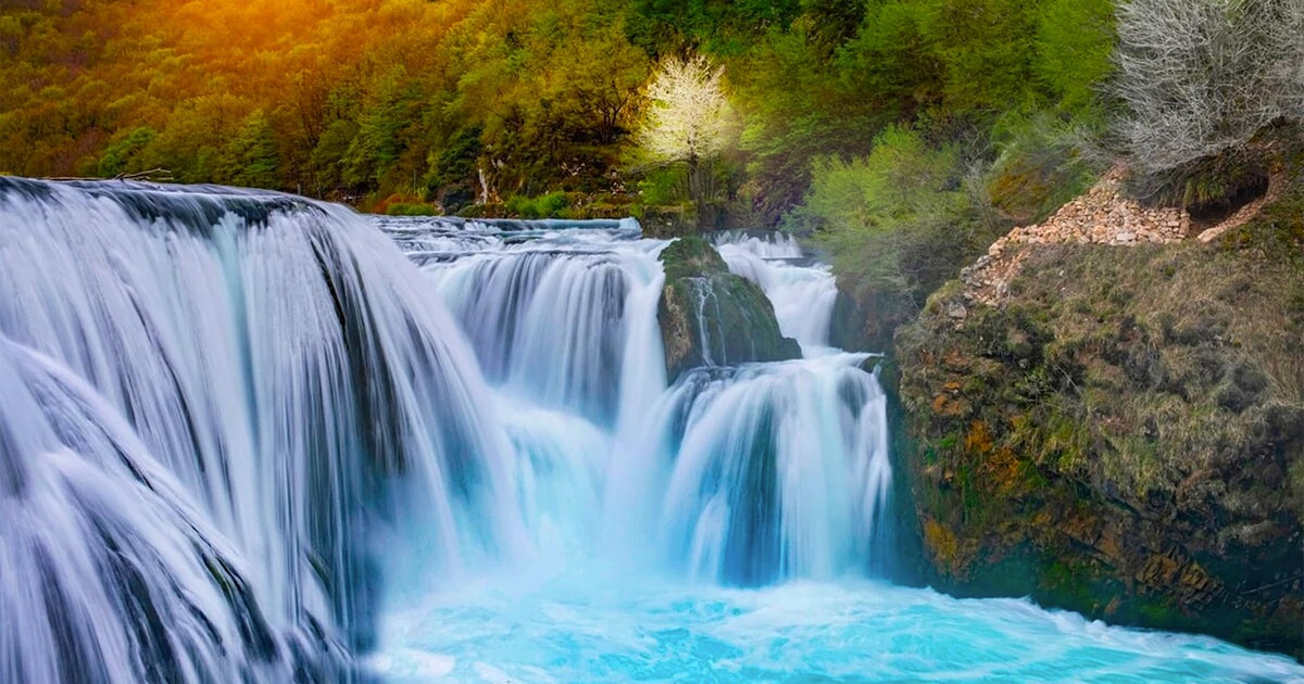 사라예보: Strbacki 북, Jajce, 폭포 투어 당일 여행 | GetYourGuide