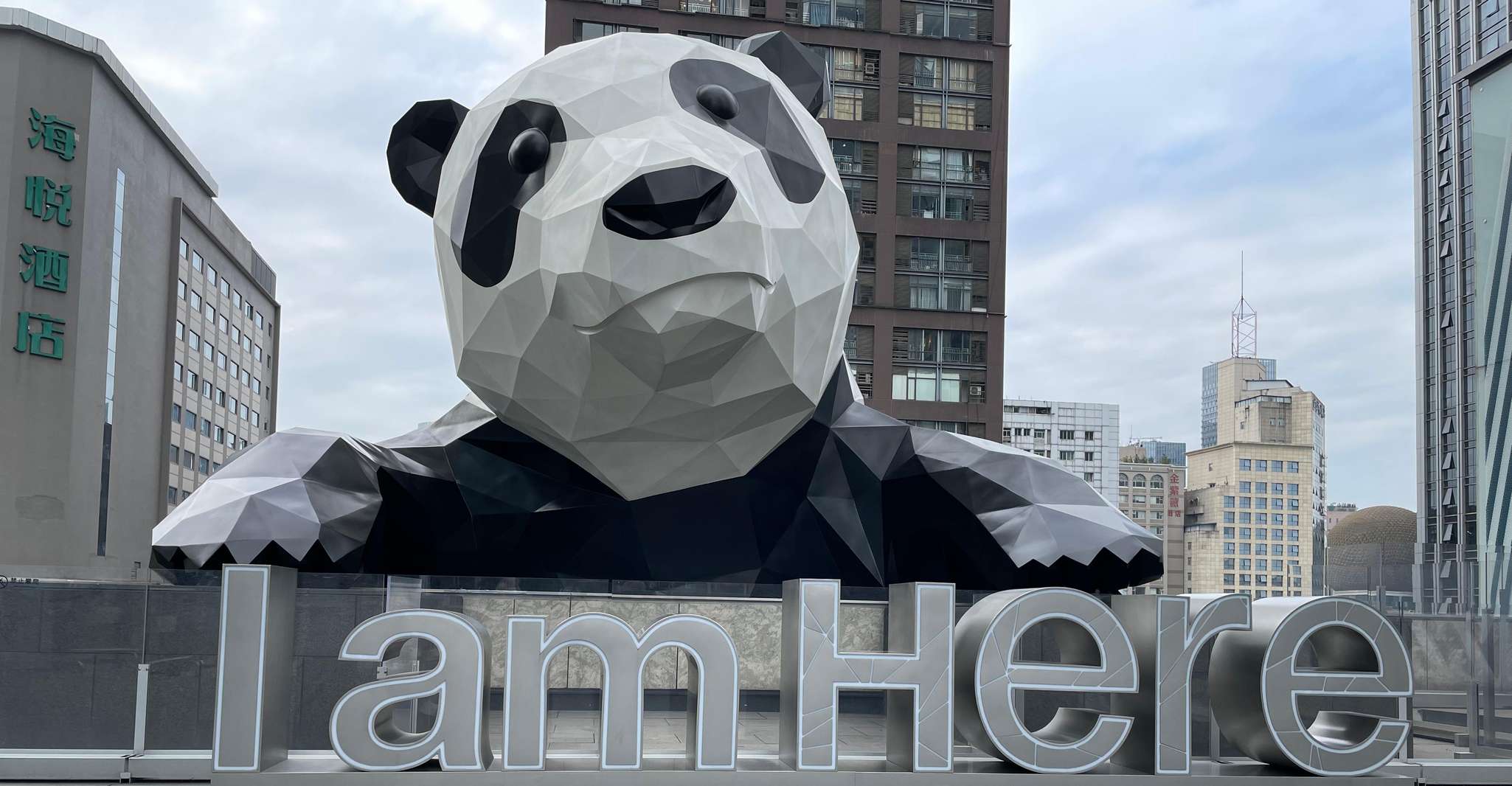 One-day tour to Dujiangyan Panda Valley. | Guided Tour in Chengdu