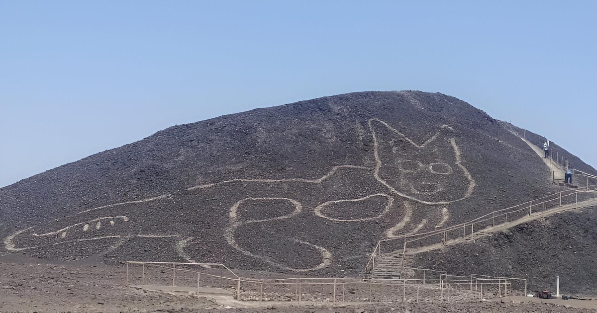 Nazca: Maria Reiche Museum og Nazca Lines Lookout Tour | GetYourGuide