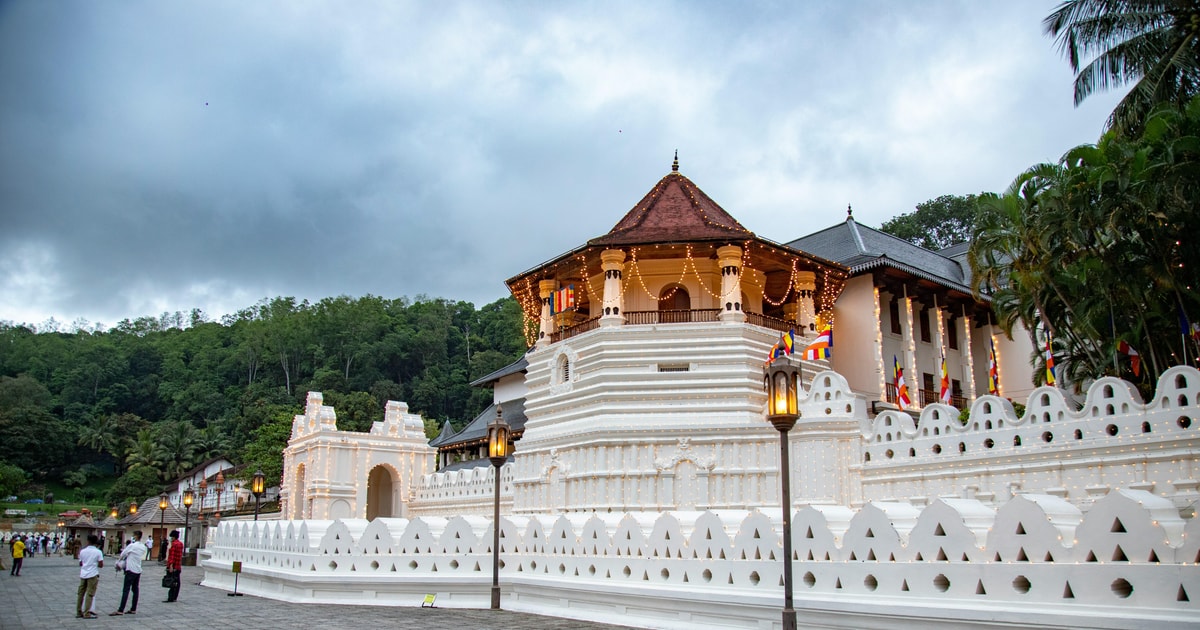Kandy & Elephant Orphange Day Trip All Inclusive | GetYourGuide