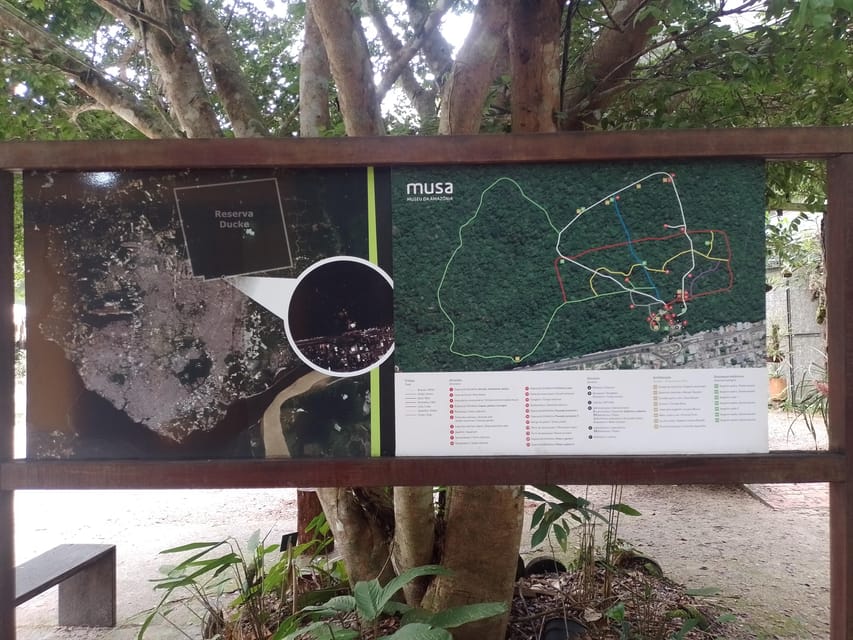 Excursión en Musa privada (jardín botánico) | GetYourGuide