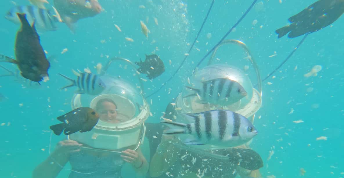 Undersea Walk & Beaches in The North With Transportation | GetYourGuide