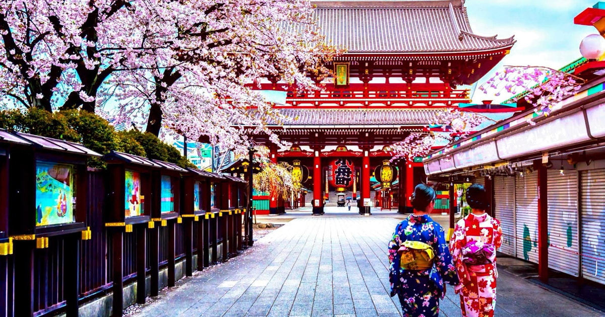 Tokyo Full-Day Private Tour: Tradition, Trend & Hidden Gems | GetYourGuide