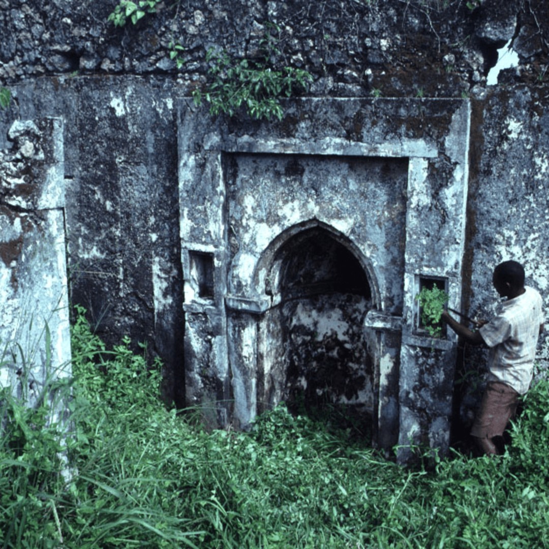 Isola di Pemba: tour della fattoria delle spezie e di Mkama Ndume ...
