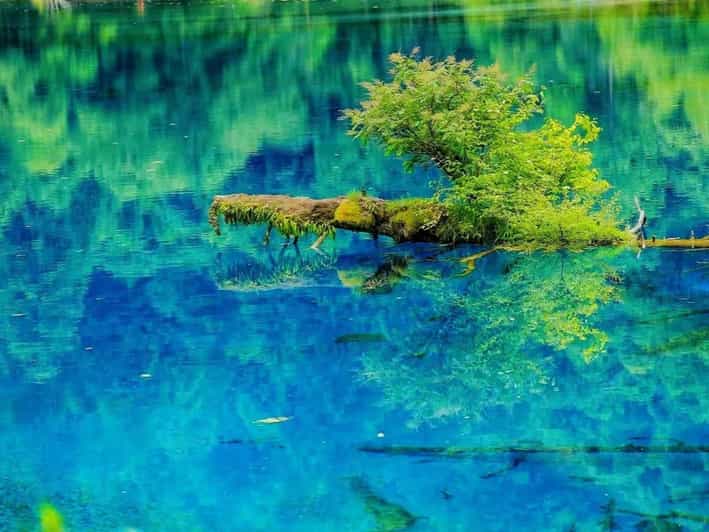 Chengdu: 2-Day Jiuzhai & Huanglong Bullet Train Private Tour | GetYourGuide