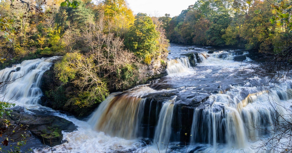 Hike World Heritage Reserve Waterfalls | GetYourGuide