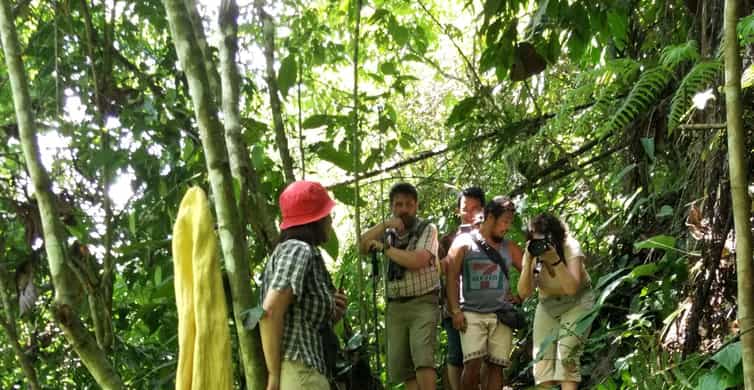 Sumatra Zachodnia: Raflezja Największy kwiat na świecie Wycieczka ...