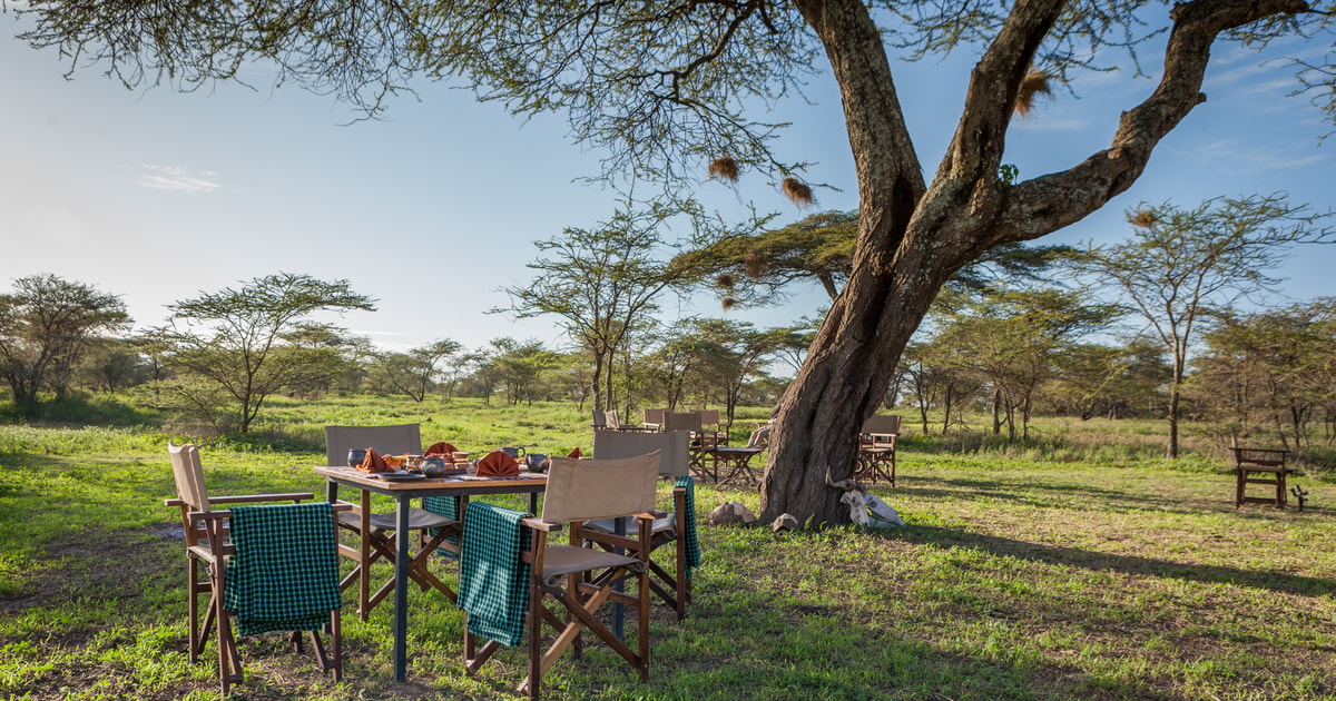 Najlepsze dwudniowe safari z Zanzibaru, aby zobaczyć duże 5 Ngorongoro ...