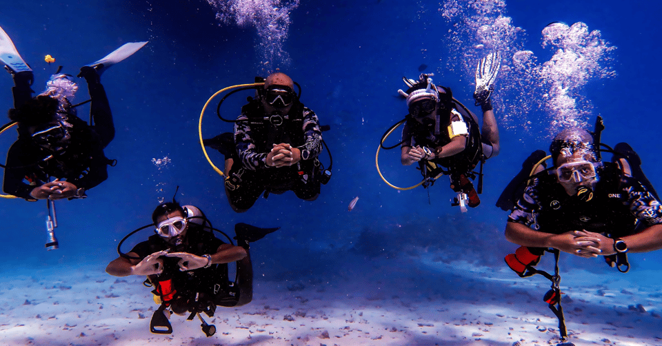 Aqaba Dive Adventure: Explore The Red Sea On A Tour | GetYourGuide