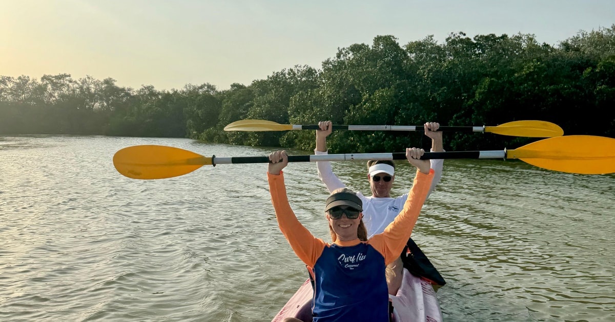 Holbox: Kajak-tur i mangrove ved solnedgang | GetYourGuide