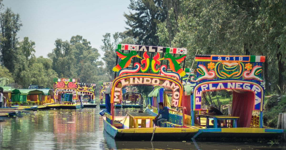 Ciudad de México: Xochimilco - Coyoacán - UNAM | GetYourGuide