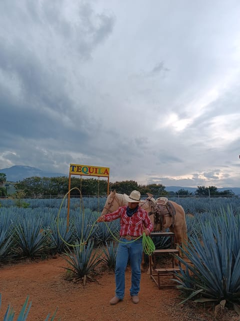 Get on Chile: know everything about tequila in "La Rienda" | GetYourGuide