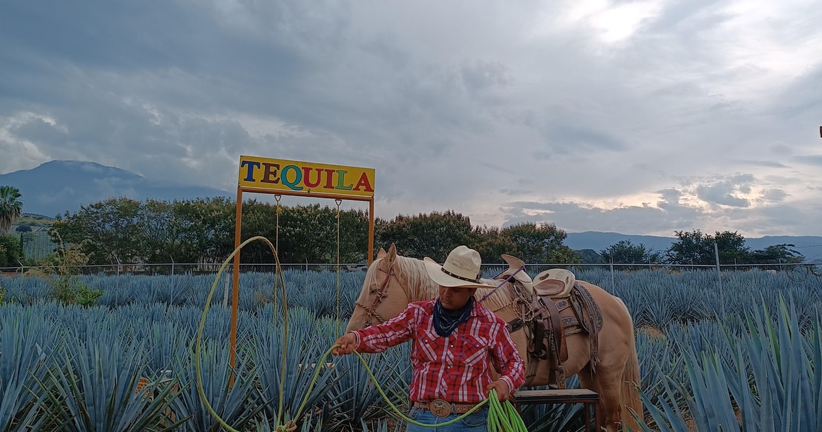 Get on Chile: know everything about tequila in "La Rienda" | GetYourGuide